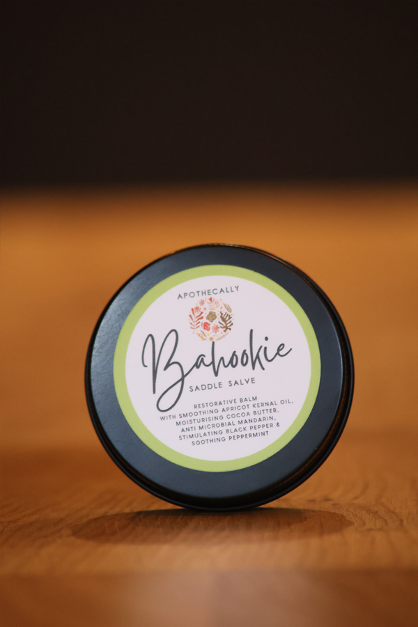 Bahookie Saddle Salve – Apothecally
